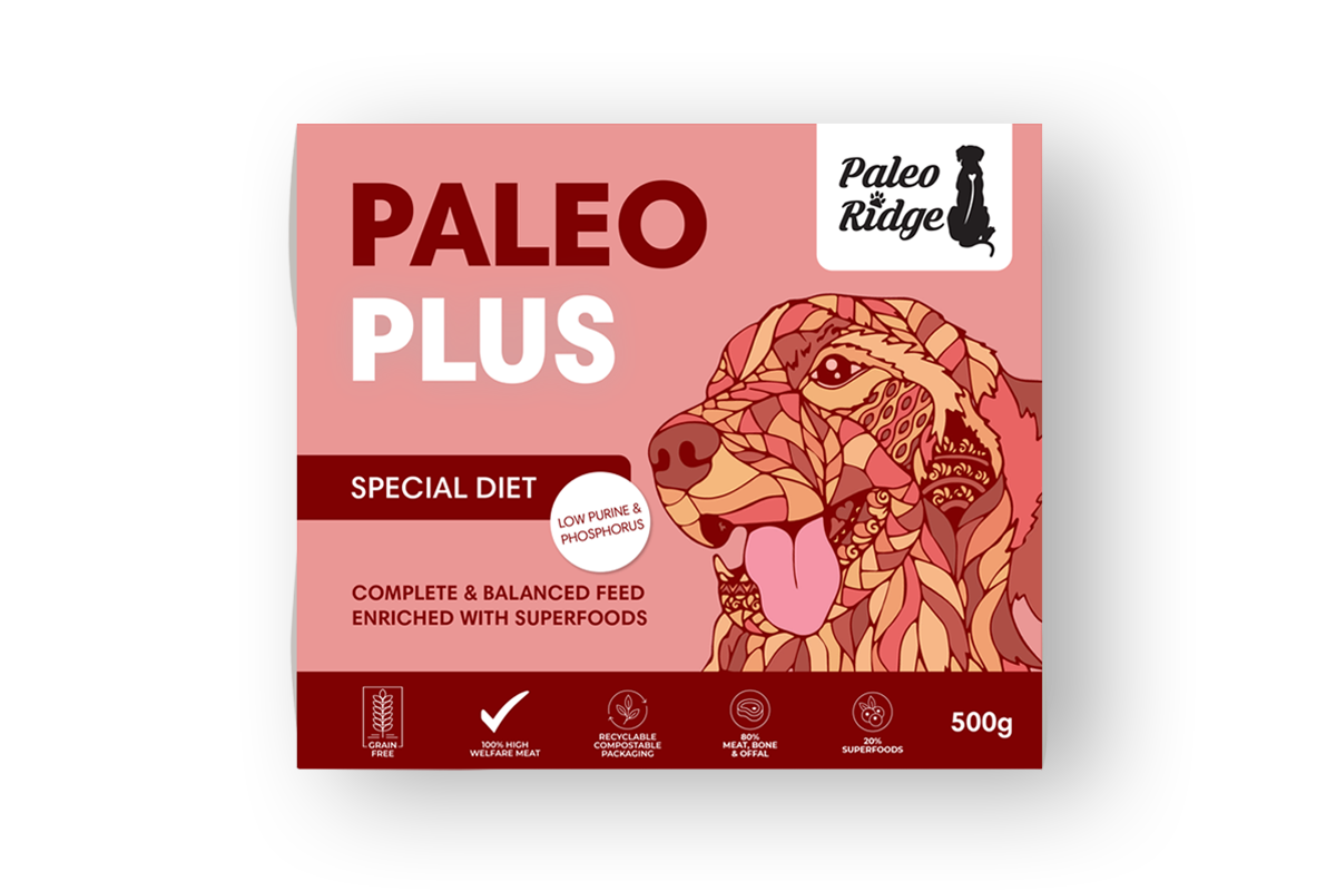 Paleo Plus Special Diet (500g)