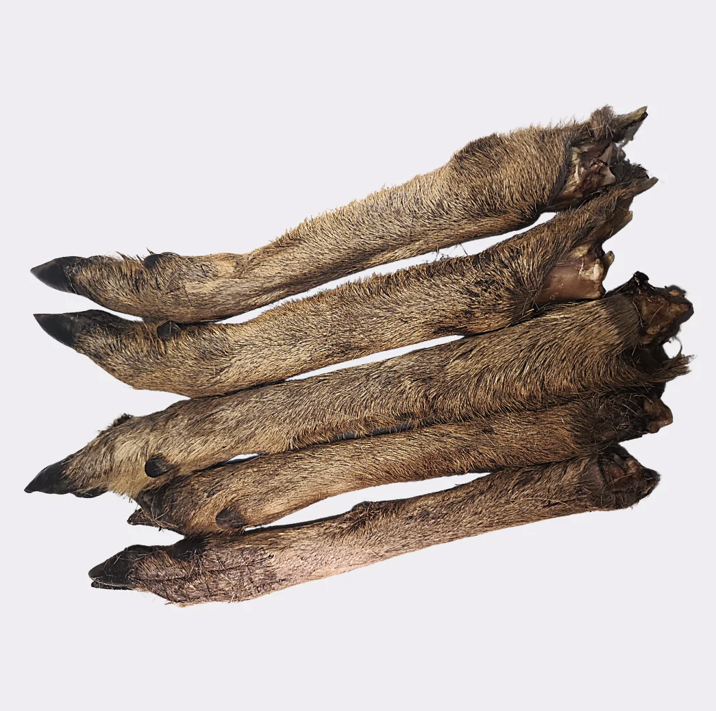 Small Venison (Deer) Leg - With Fur